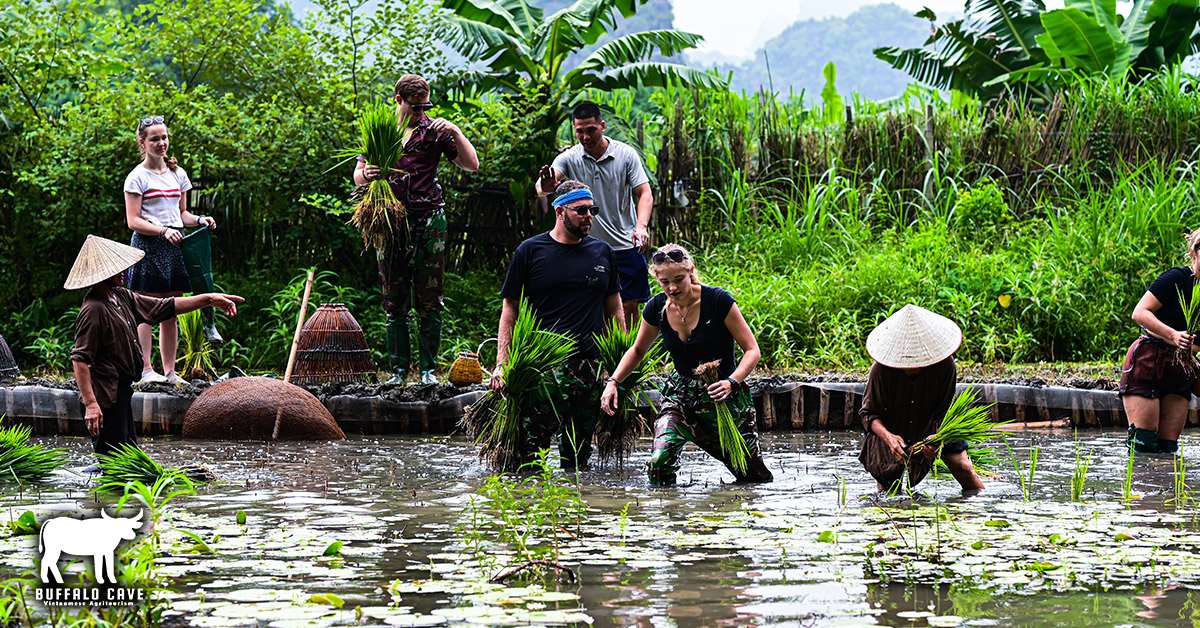 Buffalo cave tours - I am a farmer - Vietnam authentic eco tour