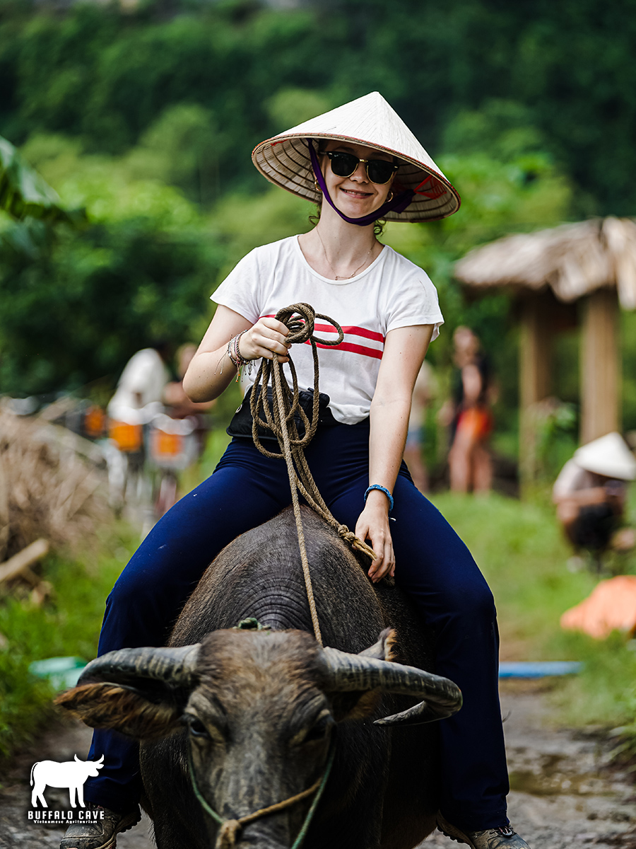 Buffalo cave tours - I am a farmer - Vietnam authentic eco tour